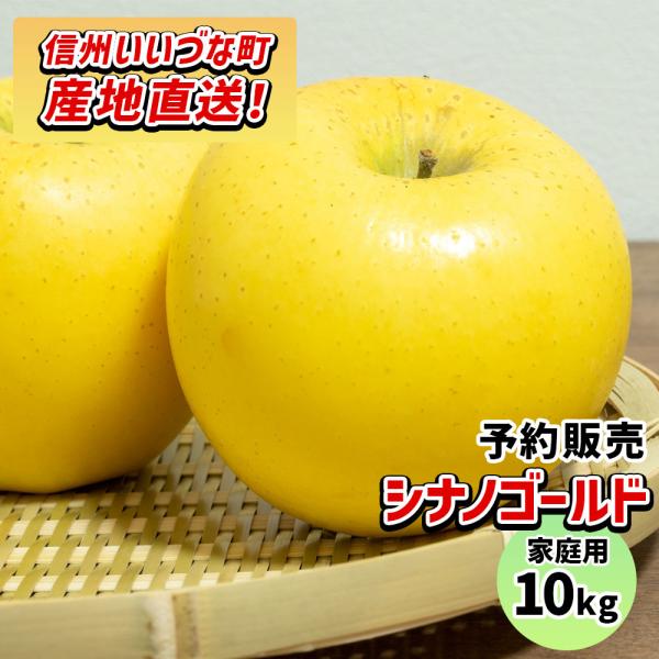 長野県飯綱町産 リンゴ  初物直送 りんご シナノゴールド 家庭用