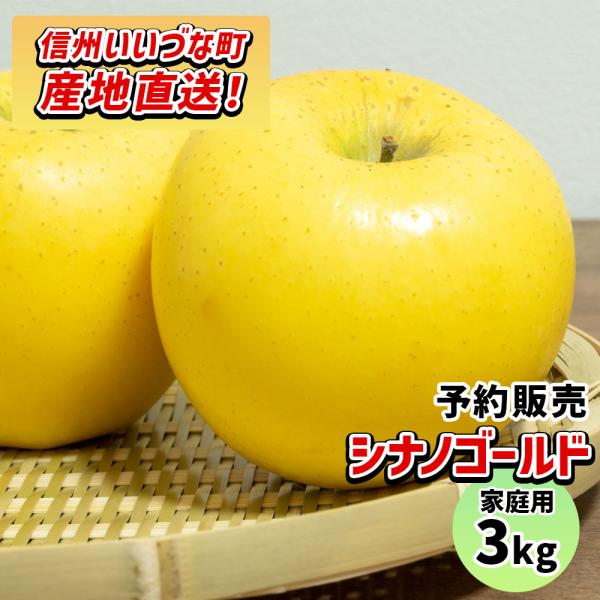 長野県飯綱町産 リンゴ  初物直送 りんご シナノゴールド 家庭用