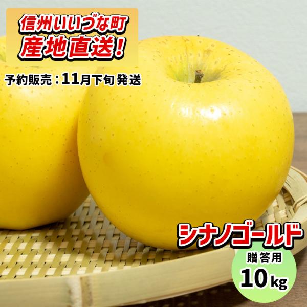 長野県飯綱町産 リンゴ  初物直送 りんご シナノゴールド 贈答用