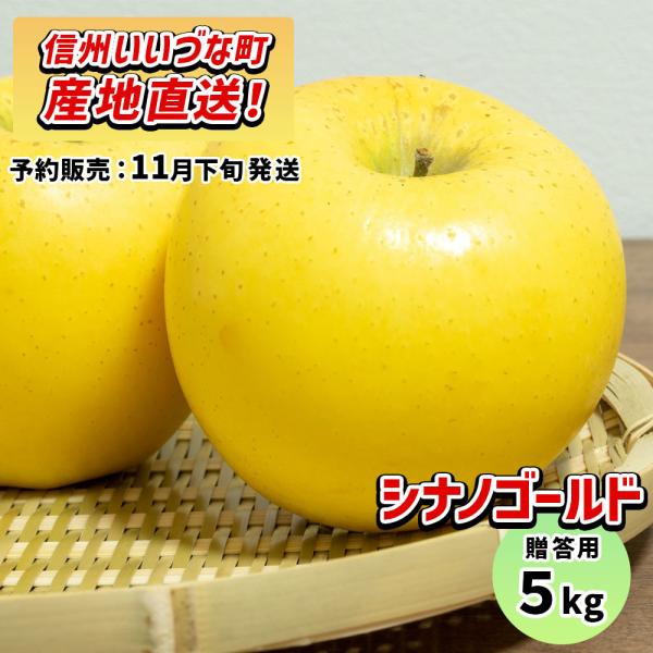 長野県飯綱町産 リンゴ  初物直送 りんご シナノゴールド 贈答用