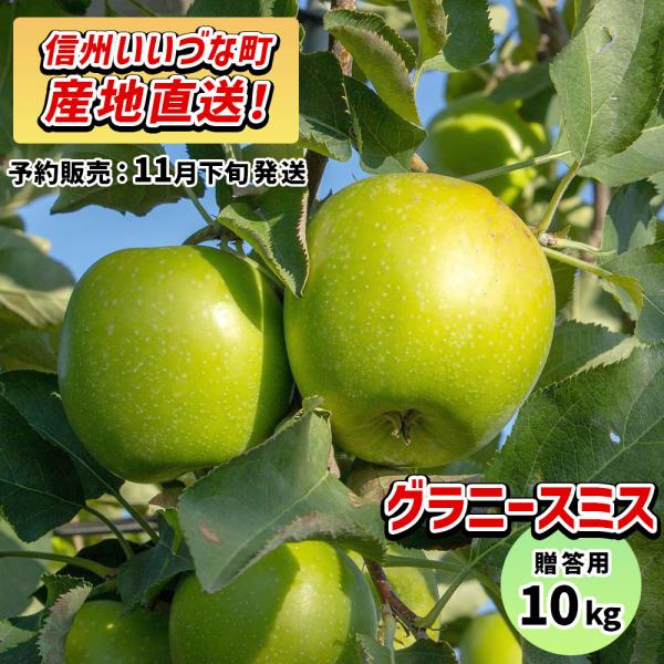 長野県飯綱町産 リンゴ 初物直送 りんご グラニースミス 贈答用