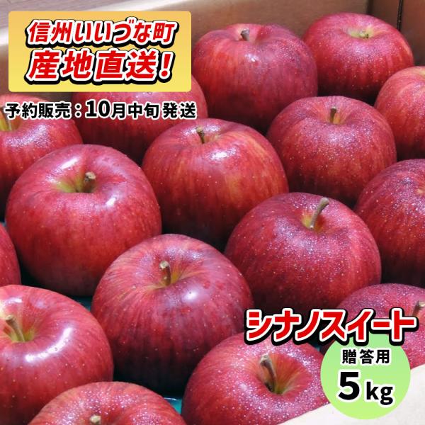 長野県飯綱町リンゴ  初物直送！ りんご シナノスイート 贈答用