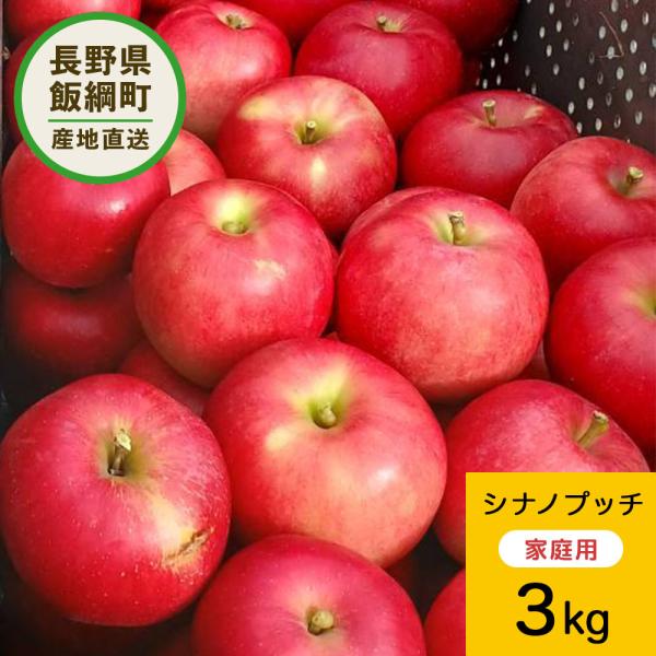 長野県飯綱町産 リンゴ  初物を直送 りんご シナノプッチ 家庭用