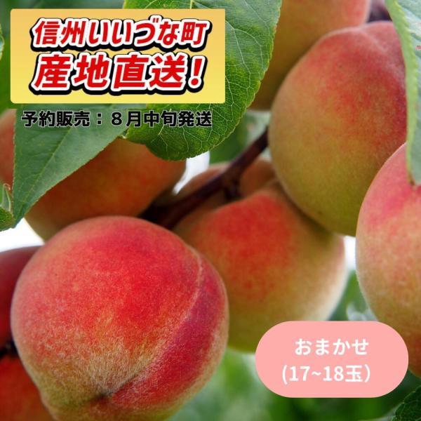 長野県飯綱町産 桃 初物直送