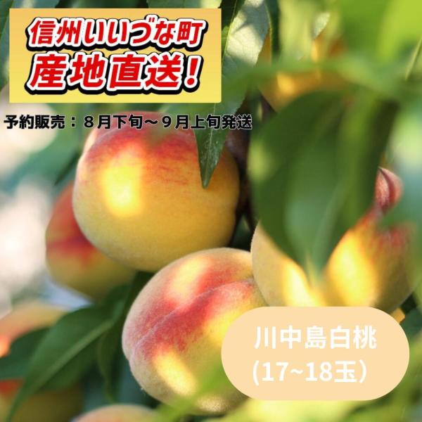 長野県飯綱町産 桃 初物直送