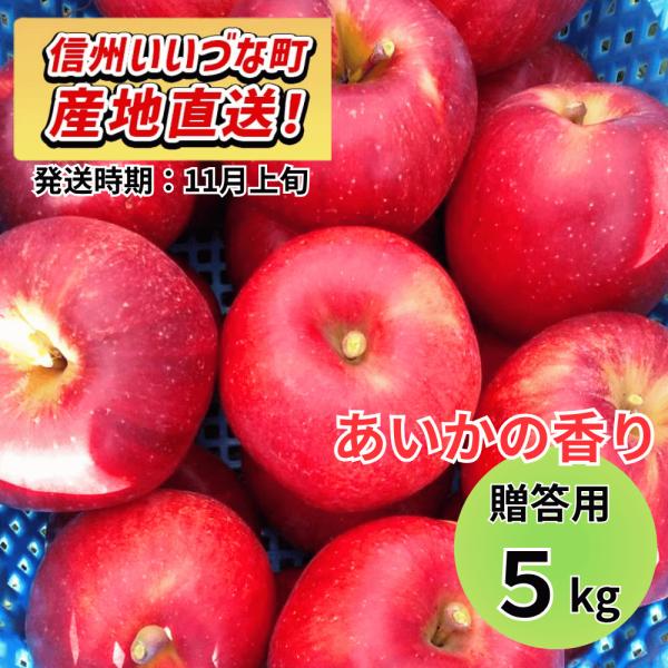長野県飯綱町産のリンゴ  初物を産地から直送します！ りんご あいかの香り 贈答用