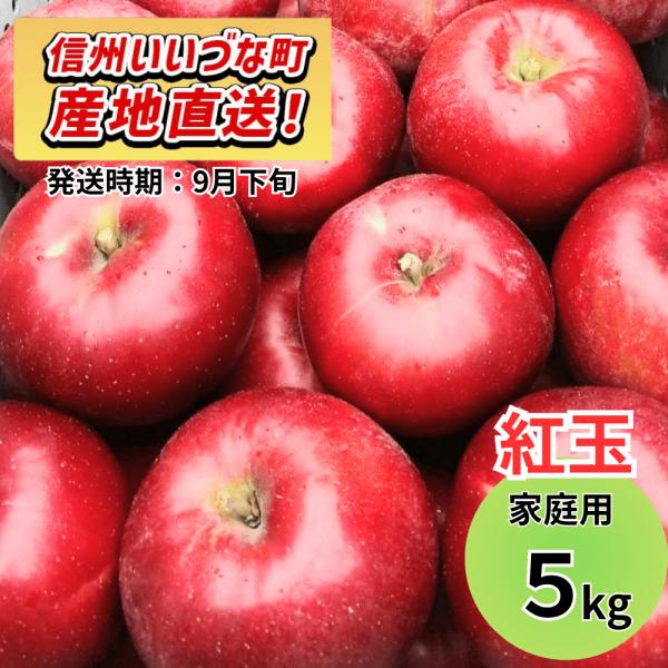 長野県飯綱町産のリンゴ  初物を産地から直送します！ りんご  紅玉（こうぎょく） 家庭用