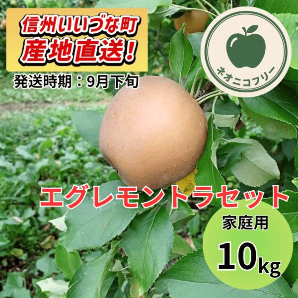 ネオニコチノイド不使用・有機リン不使用・除草剤不使用・土づくりで化成肥料不使用のこだわりりんごを飯綱町からお届けします。