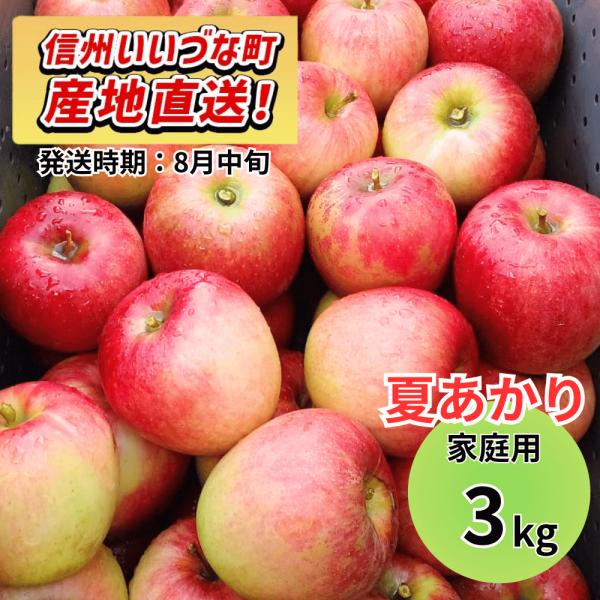 長野県飯綱町産のリンゴ  初物を産地から直送します！ りんご 夏あかり 家庭用