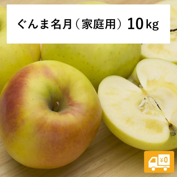 長野県飯綱町産 リンゴ りんご ぐんま名月 家庭用