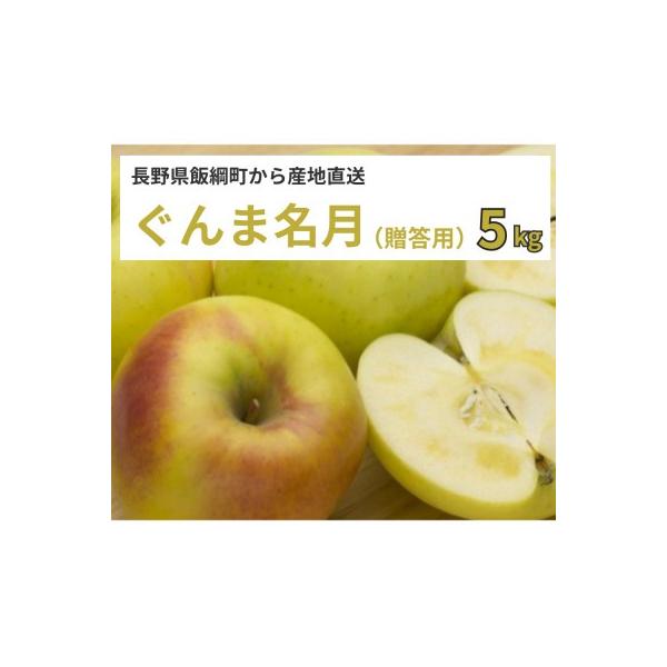 長野県飯綱町産 リンゴ りんご ぐんま名月 贈答用