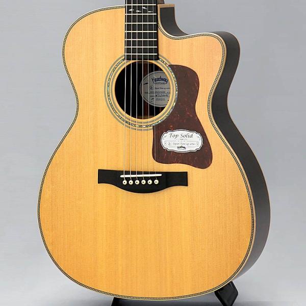 〜フィンガースタイルギターリストわたなべゆう監修モデル！！〜本器「HOC-KINGFISHER」は、フィンガースタイルギタリストわたなべゆう監修のもと開発されました。さまざまなボディシェイプやトーンウッドの組み合わせを試し、その中でわたなべ...
