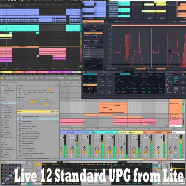 人気のDAWソフトウェアAbleton Liveがいよいよバージョン12へ！Liveはスムーズで柔軟性の高い制作とパフォーマンスを実現する音楽ソフトウェアです。エフェクト、インストゥルメント、サウンドなど、各種制作機能を備えており、音楽のジ...