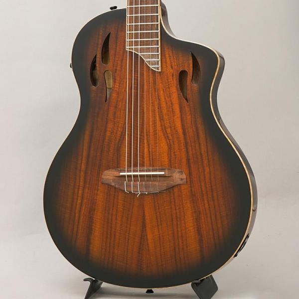 革新的なエレクトリック・ナイロン弦ギター、TourPlayerはライブパフォーマンスのために設計され、ナイロンギター本来の温かみと響きを実現しながら、フィードバックの問題を解消します。ナイロンギターでは考えられなかったサウンドの可能性の世界...