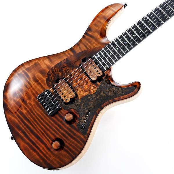 Mayones(マヨネス)イケベ楽器店創業50周年モデル池部楽器店創立50周年記念として、2018年にMBC（Master Builder Collection）シリーズの一つとして生産された「Regius Core Guard」モデルをベ...