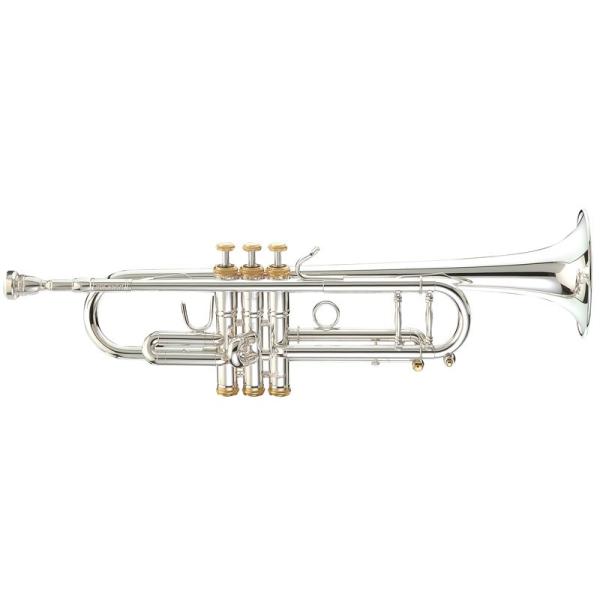 Stomvi ELITE DA33 S (5330) Bb管 トランペットStomvi(ストンビ)28歳の時にジュエリー会社を立ち上げた Vicente Honarato Ib??ez 氏は、30歳の時に新たなプロジェクトとして金管楽器の製...