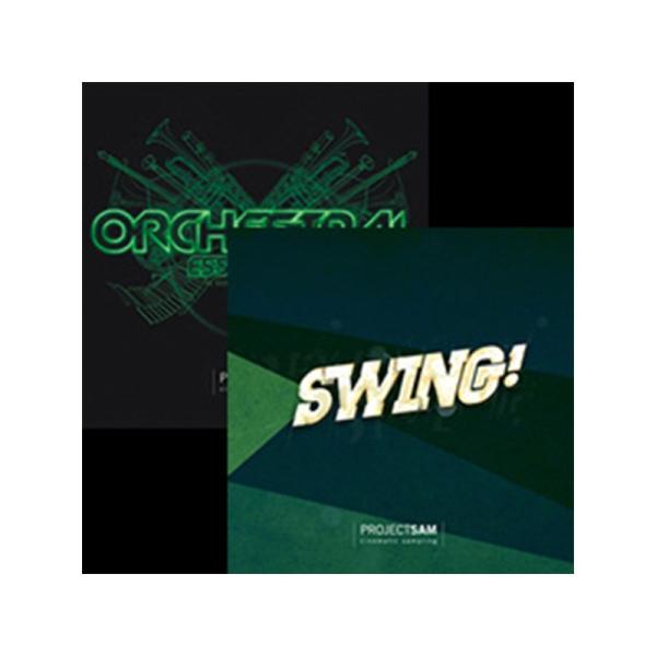 ■オンライン納品製品に関する注意事項※こちらの製品は全てオンライン納品専用となっています。・製品シリアルナンバー及びダウンロード手順説明PDFは当店よりEメールにてお知らせ致します。・プラグイン本体及びマニュアルはメーカーサイトよりダウンロ...