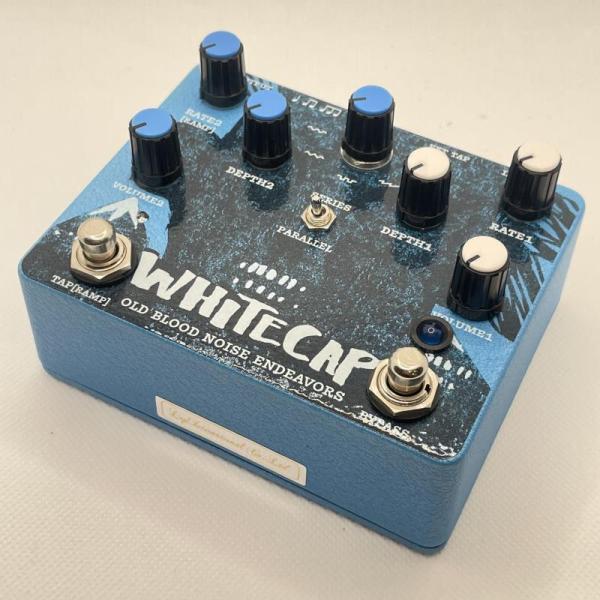 Whitecapはアナログとデジタル、2つのトレモロセクションを搭載する意欲的なモジュレーションデバイス。各セクションは異なるボイシングとキャラクターを適用でき、絡み合って互いに影響し合うことで、未だ体験したことのない独創的なリズムを生みま...