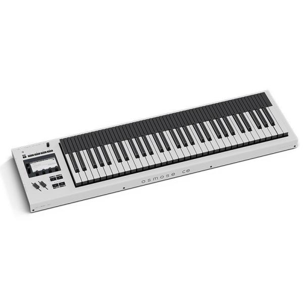 【製品の特長】「表現」を再定義する、新世代の MIDI コントローラーまずは、鍵盤に触れてください。驚きと興奮、そして馴染みをすぐに感じていただけることでしょう。Osmose CE（Controller Edition）は、従来の MIDI...