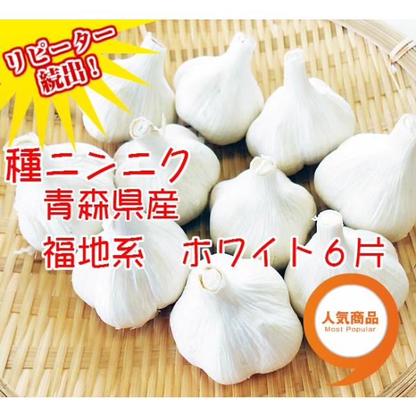 リピーターが多い種ニンニクです！にんにくの代表的品種福地系ホワイトの代表的品種です。寒冷地向きの品種です。肉厚で粒が大きく名前のとおり６片できます。">※本商品は栽培を目的とした種でございます。食用ではございませんのでご注意ください。