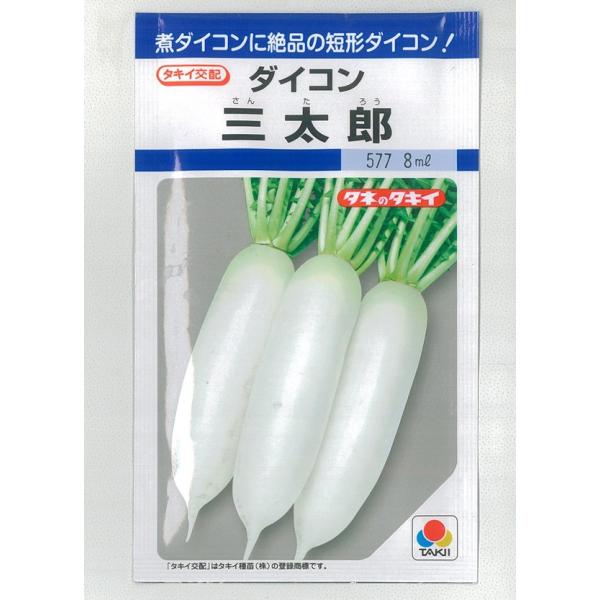 プランター栽培できる。煮ダイコンに絶品の短形大根！！