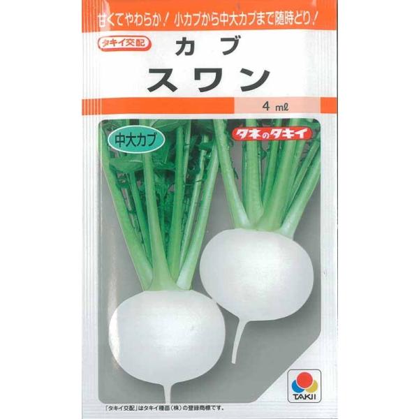 小カブから中カブまで随時どりができます。肉質が柔らかで甘味があり、漬物の他、サラダ用に最適です。