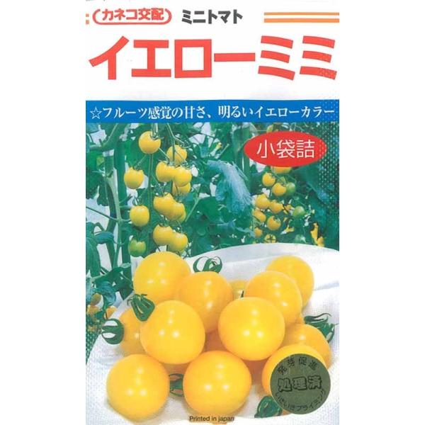 カネコ種苗の黄色いミニトマトの種です。フルーツ感覚の甘さ、明るいイエローカラーのミニトマトです。