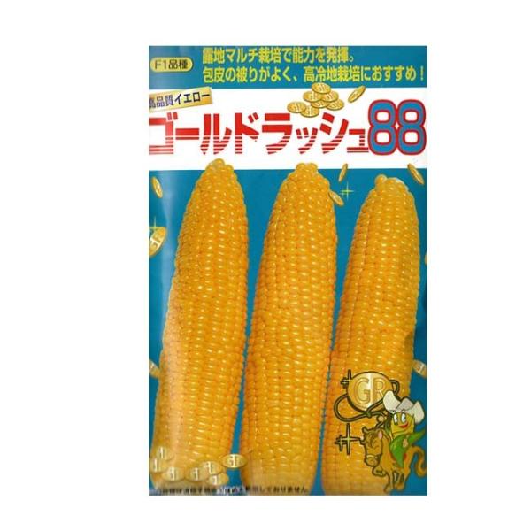 サカタの種のトウモロコシの種です。人気のバンダムゴールドラッシュシリーズです。一般地マルチ栽培で「ゴールドラッシュ」より５日ほど遅い８８日タイプ中生イエロー種。甘味が特に強く、粒皮も柔らかで食味がよい。また高温期でも「ゴールドラッシュ」より...