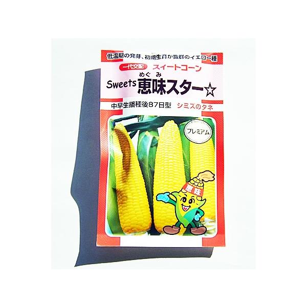 低温期発芽、初期生育が抜群のイエロー種