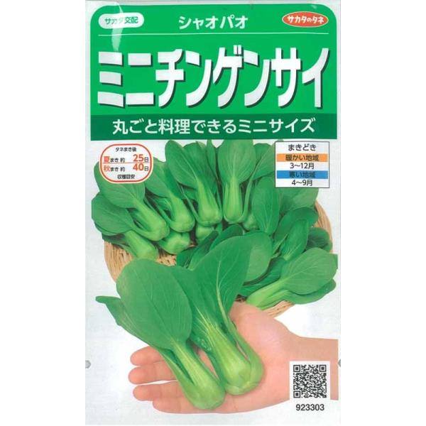 小さいので丸ごと料理に使える新しいチンゲンサイです。草丈10から15cm、暑さ、病気に強く、ほぼ一年中つくれます。スジがないので大変おいしく、和・洋・中華料理のいずれにもよく合います。