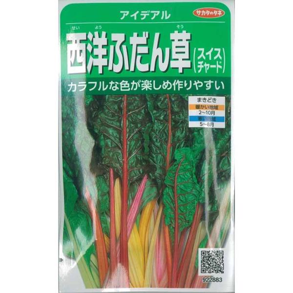 葉の軸が赤、白、黄色、中間色にも分かれる西洋ふだん草（スイスチャード）です。菜類が不足する夏にも収穫でき、ビタミンＡ、ミネラルが豊富で風味があります。カラフルで花壇の縁どりや鉢植にも使えます。
