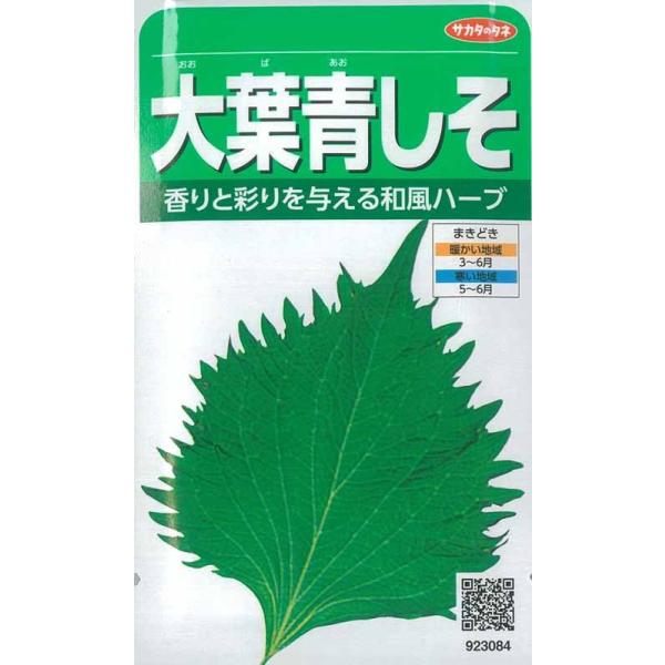 生育旺盛で作りやすいシソです。栄養豊富で芽ジソ、葉ジソ、穂ジソとして広く用途があります。薬味として上品な芳香を楽しみます。（しそは同種でも季節・栽培環境によって香り・形状が若干違うことがあります。ご了承お願いいたします。