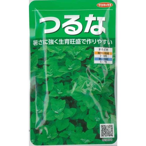 日本に野生するただ一種のツルナ科植物で、海岸に生える多年草です。ハマチシャとも呼ばれ、三角形のやや肉厚の葉が地面をはっ広がります。つるの先を摘んで食べます。