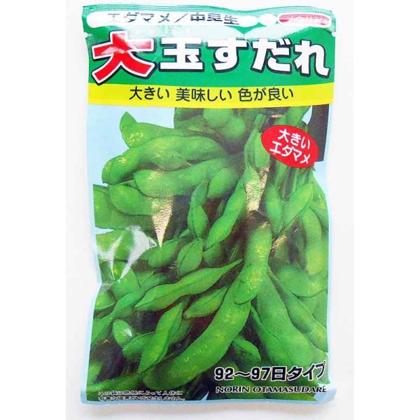 とても大きく、おいしく、色がよい枝豆です。は種後92から97日で収穫になる中早生種タイプです。
