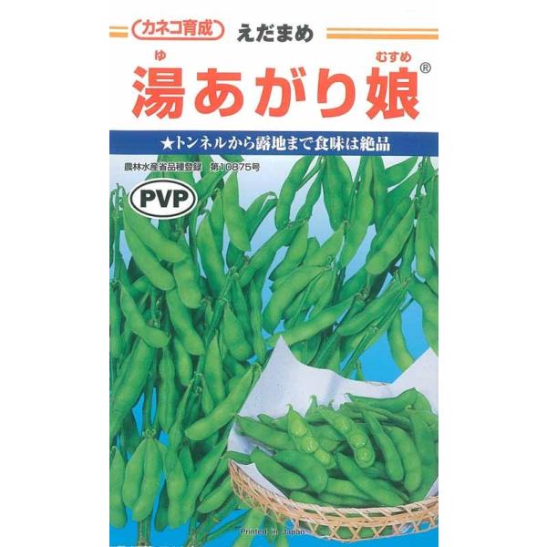 カネコ種苗の枝豆の種です。茶豆特有の芳香を持ち、食味の良さに特に影響するショ糖含量の多い食味抜群の品種です。エダマメ収穫時の子実色は鮮やかな緑色、完熟種子色は黄色です。 ゆであがった莢色は鮮やかな緑色で、市場性の高い品種です。 栽培日数85...