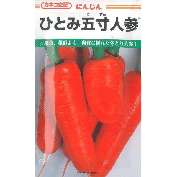 夏まき冬とり用品種で、播種から約110日で収穫できます。根も芯も紅橙色に優れていて、おいしさ抜群の品種です。
