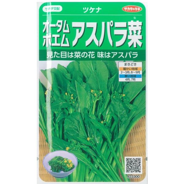 「紅菜苔」に似た姿で、緑鮮色のトウ立ちした茎や葉と花蕾を利用します。茎や葉はアスパラガスに似た風味と甘みがあり、とてもおいしい野菜です。葉は、かき菜として利用します。