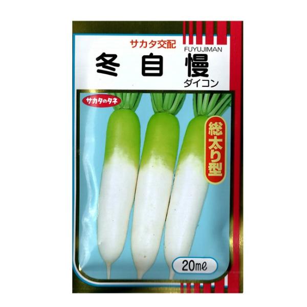 病気に強く、つくりやすい秋まき青首大根です。葉が広がらずコンパクトにまとまり、密植できます。尻づまりがよく、肌なめらかでツヤがあります。ス入り遅く、すぐれた肉質でとてもおいしい品種です。