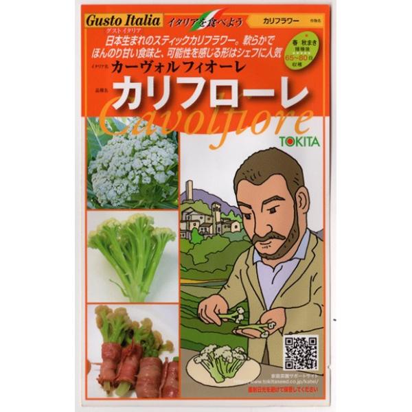 トキタ種苗のグストイタリアシリーズ。新感覚カリフラワー。生でもおいしい。軽くゆでてサラダでもおいしい野菜です。