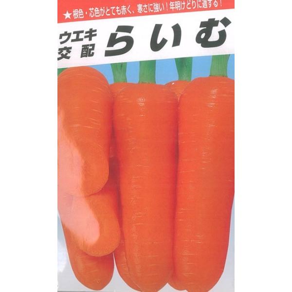 【発売日：2014年07月10日】根の色、芯の色が鮮やかで光沢のあるニンジンです。中間地の１月から３月収穫に適しています