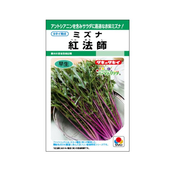 葉柄が鮮やかな赤紫色に色づく機能性ミズナ！■農水省登録品種（品種名：TTU491）