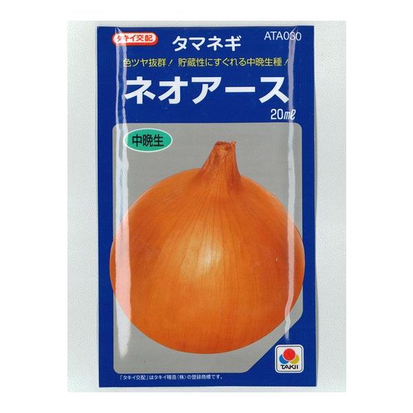 豊円球でそろい・しまり良好。厚皮密着で特に皮色が濃く、テリ・ツヤにすぐれたタマネギです。熟期は貯蔵種としては早めにとれる中晩生種で、6月上中旬収穫できます。また、貯蔵性高く歩どまりが高く長期保存に適した品種です。