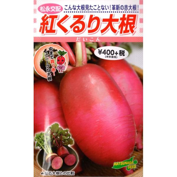 こんな大根見たことがない！革新の赤大根