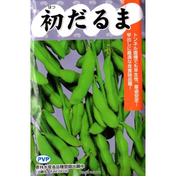 商品特徴トンネル直播でも早生性、草勢安定！早出しに最適な良食味品種。 商品詳細■種苗会社：カネコ種苗■数量目安：約100粒（個体差があるため、あくまで目安となります）■登録品種(登録名　KA-1420) 海外持出禁止(公示(農林水産省HP)...