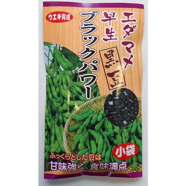 生育日数80日から85日の早生種の枝豆です。黒タネ種。黒タネ独特の風味があり、甘味が強くおいしい。