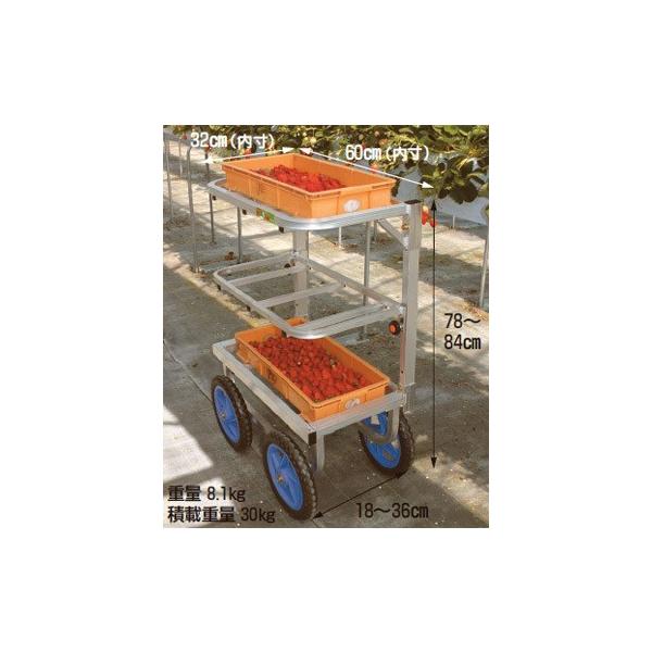 いちご収穫用ワゴン3段タイプです。●中段が取りはずし可能で、さらに上下にスライドできますから作業に合わせて変えられます。●上段はトレーが水平にも斜めにも置けますから便利です