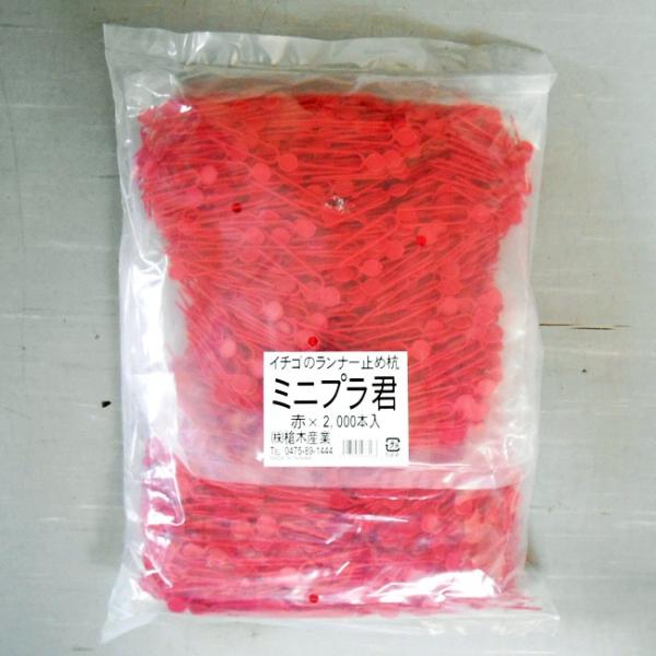 何度でも使えるイチゴのランナー押さえです。赤・白・青の3色で品種分け。株分けに最適刺しやすい形状で、作業性大幅アップ。繰り返し仕様ができて経済的。入数：2000本/袋材質：PP