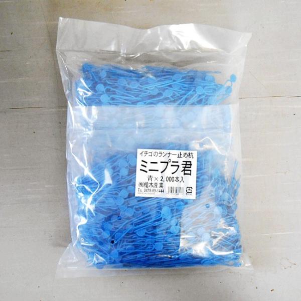 何度でも使えるイチゴのランナー押さえです。赤・白・青の3色で品種分け。株分けに最適刺しやすい形状で、作業性大幅アップ。繰り返し仕様ができて経済的。入数：2000本/袋材質：PP