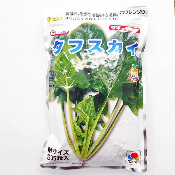 収量性・作業性・耐病性を兼備！すぐれた耐暑性をもつ早生種のホウレンソウ●耐暑性にすぐれた早生種耐暑性にすぐれた生育旺盛な早生種。気温の高い時期の栽培用として、夏〜秋どりおよび春どりに適する。●萎凋病に強いべと病レース１〜12、14〜15に抵...