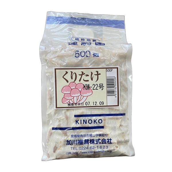 原木栽培用のくりたけの種駒菌です。